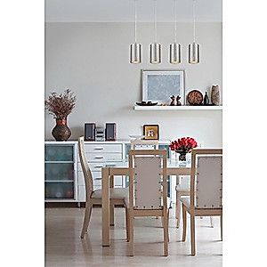 Westinghouse Lighting 6101200 Phelps One-Light Indoor Mini Pendant, Brushed Nickel