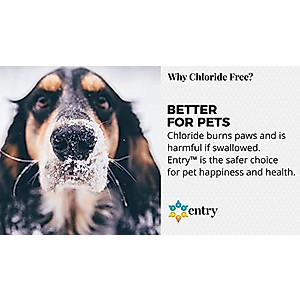 Branch Creek Entry Chloride-Free, Non-Toxic Liquid Ice Melt and Manual Pump Sprayer Bundle - Quick, Clean and Optimal Application–for Entrances and Sidewalks of Residential Properties (0.5 Gallon)