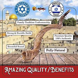 ProShofar Israel Shofar Set, Natural Kudu Horn Shofar, Kosher Shofar Yemenite Traditional Musical Instrument for Jewish Spiritual Ceremonies and Religious Sermons, Made in Israel