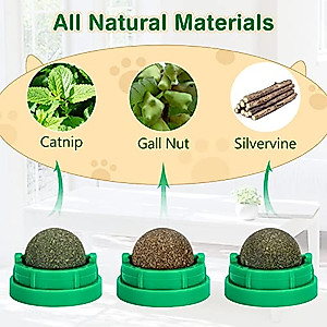 OHALEEP Catnip Ball for Cats Wall, 3 Pack Catnip Toys, Edible Kitty Toys for Cats Lick, Safe Healthy Kitten Chew Toys, Teeth Cleaning Dental Cat Toys, Cat Wall Treats (Grey) (Green)