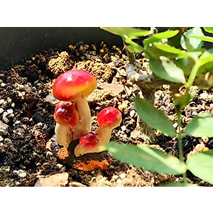 MUAMAX 2 Packs Fairy Garden Mushroom Small Figurines Miniature Garden Mushrooms Fairy Garden Mushrooms Small Little Tiny Mushroom Ornaments Micro Mushroom Figurines Plants Bonsai Craft Decor