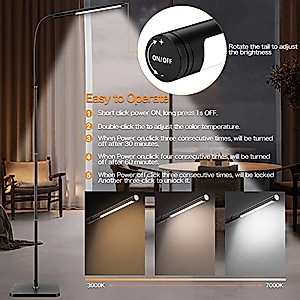 LED Floor Lamp ,Removable Eye Caring Light can be Flashlight ,Adjustable Tri-Color Temperature, Gooseneck Modern Bedroom Reading Lamps with Two Timers and Memory ,for Living Room ,Office , Emergency