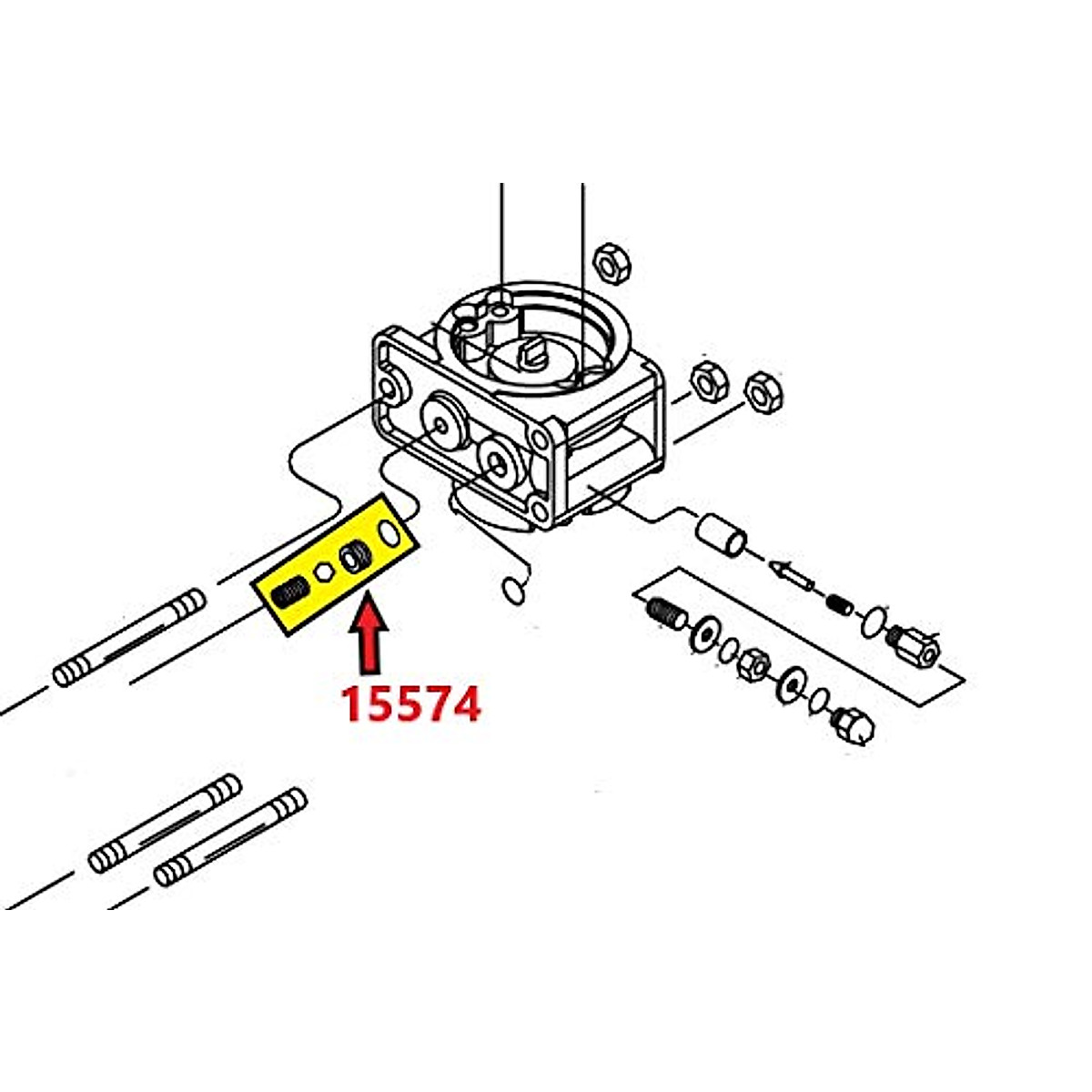 Professional Parts Warehouse Genuine OE Meyer 15574 Pump Check Valve Kit