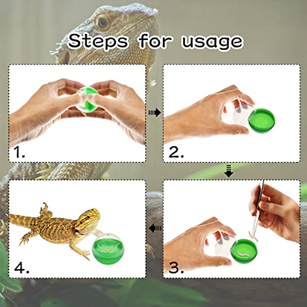 CooShou 6Pcs Lizard Bearded Dragon Feeding Toys Ball Reptile Food Toys Ball Lizard Interactive Toys for Bearded Dragon, Lizard, Gecko and Small Animals