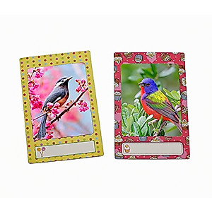 Fujifilm Instax Mini 11 Camera with Fuji Instant Film Twin Pack + Pink Case, Album, Stickers, and More (Blush Pink)