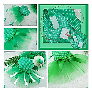 St Patricks Day Dog Costume St Patrick's Day Dog Decorations Supplies Dog Clothes Summer Pet Dresses Irish Day St. Patrick's Day Mardi Gras Dog Tutu Skirt Irish Corgi Dog Clothes