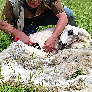 21V Cordless Sheep Shears, Electric Professional Sheep Shears with 2 Pcs Rechargeable 4 Ah Lithium Battery, High/Slow Speed,Sheep Clipper for Alpacas Goats Cattle Farm Livesto