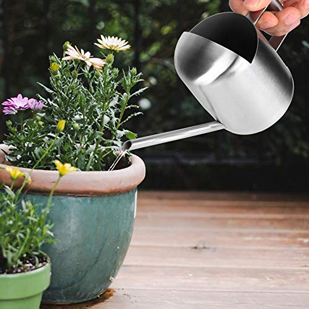 Watering Can for Indoor Plants 300ML Stainless Steel Small Watering Can with Long Spout Watering Pot for House Plant Garden Flower Bonsai Succulents