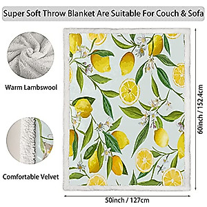 Throw Blanket Lemon Tree Flower, Cozy Fleece Blanket, Christmas Throws, Sherpa Blanket, Super Soft Blanket for Winter, Flannel Blankets for Bed Couch, Warm and Cozy Flannel Bedding Throws
