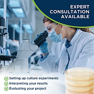 Evviva Sciences Potato Dextrose Agar Petri Dishes - Prepoured Potato Dextrose Agar (PDA) - for Mushrooms, Home Test Kit, or for Science Fair Projects, Petri Dishes with Agar