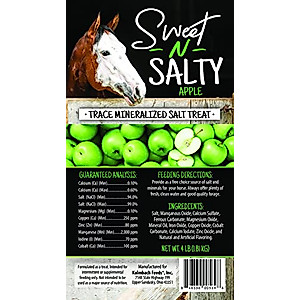 Kalmbach Feeds Sweet N Salty Apple Flavored Salt Treat Brick for Horses, 4 lb