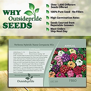 Outsidepride Verbena Flower & Ground Cover Plant Seed Mix - 1000 Seeds