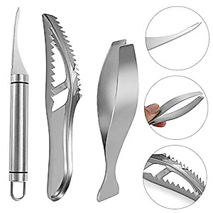 BESTonZON 2 Sets Stainless Steel Fish Scale Planer Cleaning Tools Fish Scaler Brush Fish Descaling Tool Prawn Cleaning Tool Kitchen Utensil Fish Scale Tool Fish Remover Seafood Detergent Set