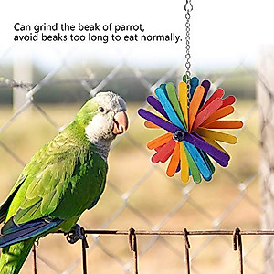 GFRGFH Pet Bird Toy Parrot Interactive Wooden Parakeet Chew Teeth Grind Stick Toys Easy to Use