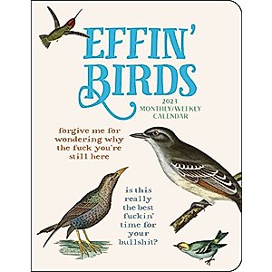 Effin' Birds 12-Month 2023 Monthly/Weekly Planner Calendar