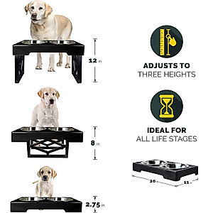 Hyper Pet Elevated Dog Bowls Large Breed, Adjustable Raised Dog Bowls Large Sized Dog Food and Water Feeder - Stainless Steel Dog Bowls
