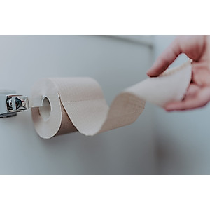 Silk'n Soft Unbleached Bamboo Toilet Paper - Tree-Free Environment Safe Biodegradable Septic-Safe Strong Dependable Panda Friendly Absorbent Bathroom Tissue 3-Ply Chlorine Free (12 Rolls)