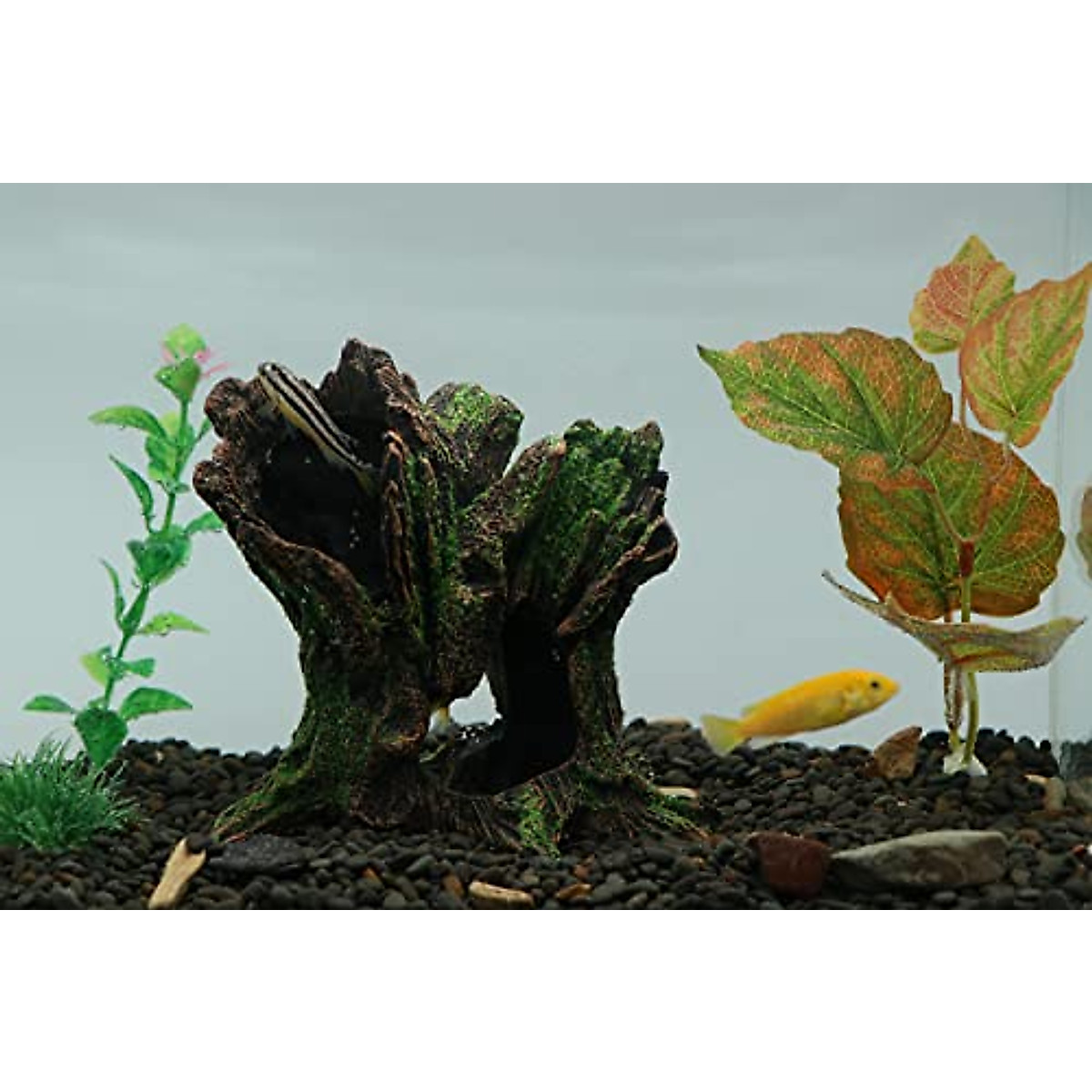 AQUA KT Aquarium Landscape Tree Stump Trunk Hollow Betta Cichlid Cave Rocks for Fish Hiding Tank Decoration Decorations