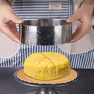 RHBLME 4PCS Cake Ring 8 Inch, Round Cake Rings for Baking, 304 Seamless Stainless Steel Mirror coating Mousse Mould, No Welding Seam Cheese Cake Mousse Ring (2-Inch Height)