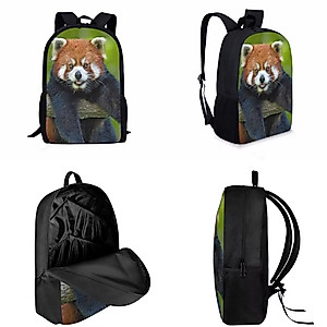 AmzPrint Carry On Lightweight 3 In 1 Cute Red Panda Backpack With Lunch Box For Elementary Middle School Kids Boys Girl