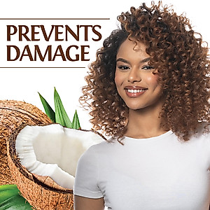 BioSilk Silk Therapy with Natural Coconut Oil Moisturizing Conditioner, Nourishing & Helps Eliminate Frizz, Sulfate, Paraben & Cruelty-Free, 12 Oz