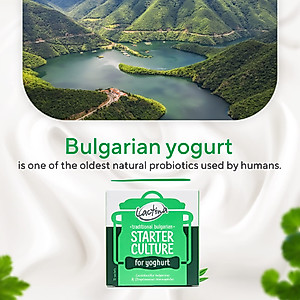 Bulgarian Yogurt Starter Culture Natural Probiotic Yogurt Culture Starter Homemade Yoghurt Starter 10 Liters Lactobacillus bulgaricus (traditional)