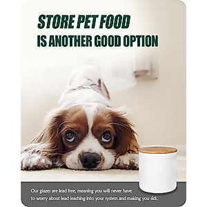 Lareina Ceramic Large Food Storage Canister with Airtight Seal Bamboo Lid, Utensil Holder 82.12 FL OZ (2450 ML) White Cookie Jar for Home and Kitchen Serving for Coffee, Sugar, Tea, Flour and More