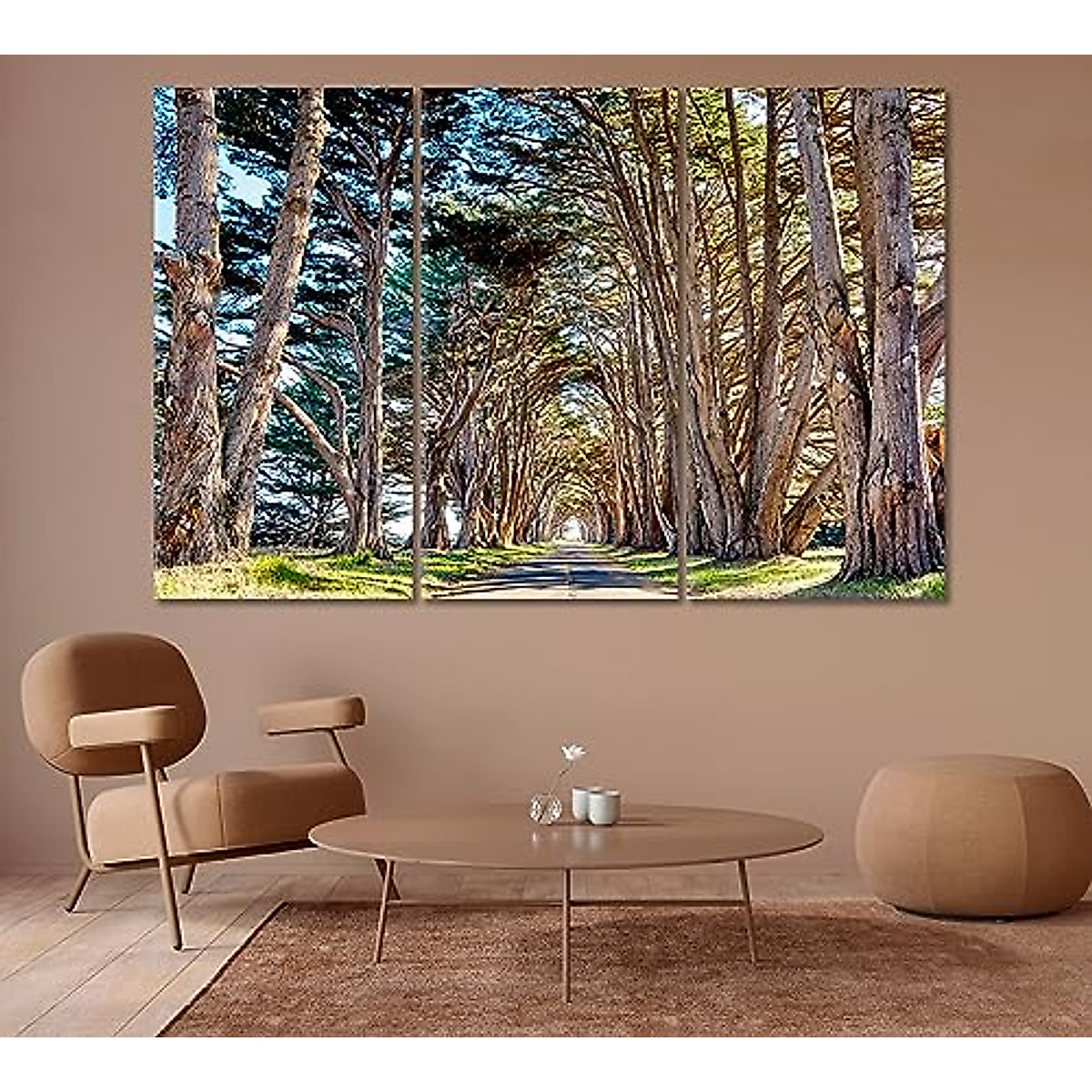 Tree Tunnel at California USA Canvas Print 3 Panels / 36x24 inches