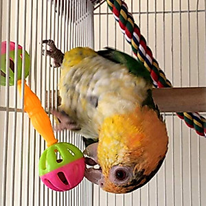 Youngy 2 Pieces Bird Parrot Toy Rattle Birds Fun Exercise Plastic Double-Headed Bell Pet Toys