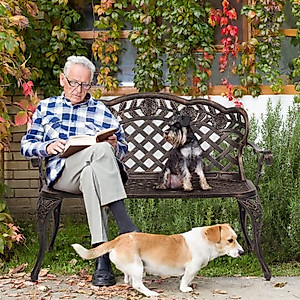 VINGLI 42.5" Patio Garden Bench Outdoor Metal Rose Loveseat,Cast Iron Cast Aluminium Frame Antique Finish Park Chair,Accented Lawn Front Porch Path Yard Bronze Decor Deck Furniture for 2 Person Seat