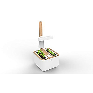Véritable Botaneo Eylo Garden - Indoor Garden - Kit with 2 Lingot Automatic LED Lighting