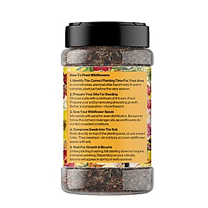Mini Wildflower Seed Shaker - Save The Bees Seed Mix, by GevaGrow | 80,000+ Seeds | Pollinator & Bee Attracting Flower Seeds Bulk for Planting in Pots & Outdoor Gardens | 2 Ounce