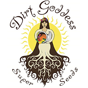 Non GMO Bulk Northeast Wildflower Seed Mix (1 Lb)