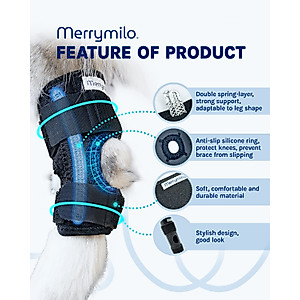 MerryMilo Dog Leg Brace for Rear Hock & Ankle, Canine Hind Leg Joint Compression Wrap for Torn ACL & CCL, Injury and Sprain Protection, Wound Care and Loss of Stability 1 Pair, Size: Large