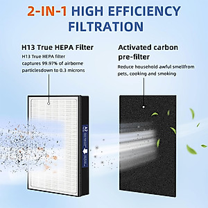 A2 HEPA Replacement Filter for 3M Filtrete Room Air Purifier FAP-C02-A2,FAP-C03-A2,FAP-T03-A2,FAP-SC02L,2 H13 True HEPA Filters + 4 Actived Carbon Pre-Filters,Part # 1150101