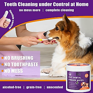 WALLZON Teeth Cleaning Finger Wipes for Dogs & Cats, Soft Pet Dental Care Wipes, Disposable Pet Tooth Brushing Wipes, Gentle Cleaning & Gum Care Finger Pet Wipes (100 Wipes)