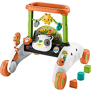 Fisher-Price Baby & Toddler Toy 2-Sided Steady Speed Panda Walker With Smart Stages Learning & Blocks For Ages 6+ Months