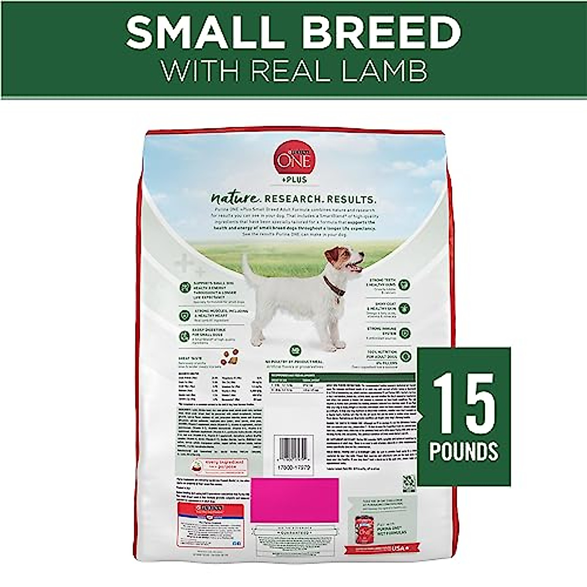 Purina ONE Plus Small Breed Lamb and Rice Formula Dry Dog Food - 15 lb. Bag