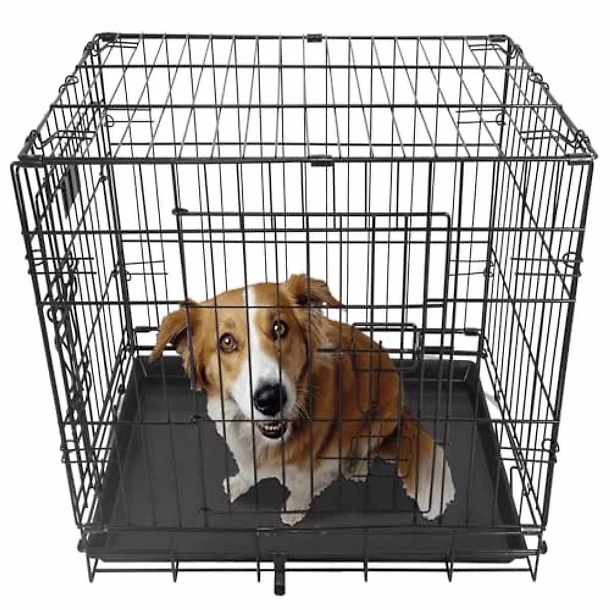 GtPet Foldable Double Door Dog Crate with Leak-Proof Tray, 42-inch