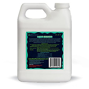 Liquid Seaweed for Plants (32 oz) Quart | Concentrated Liquid Kelp Supplement | Makes UP to 470 GALLONS | for All Plants & Gardens | Blue Planet Nutrients