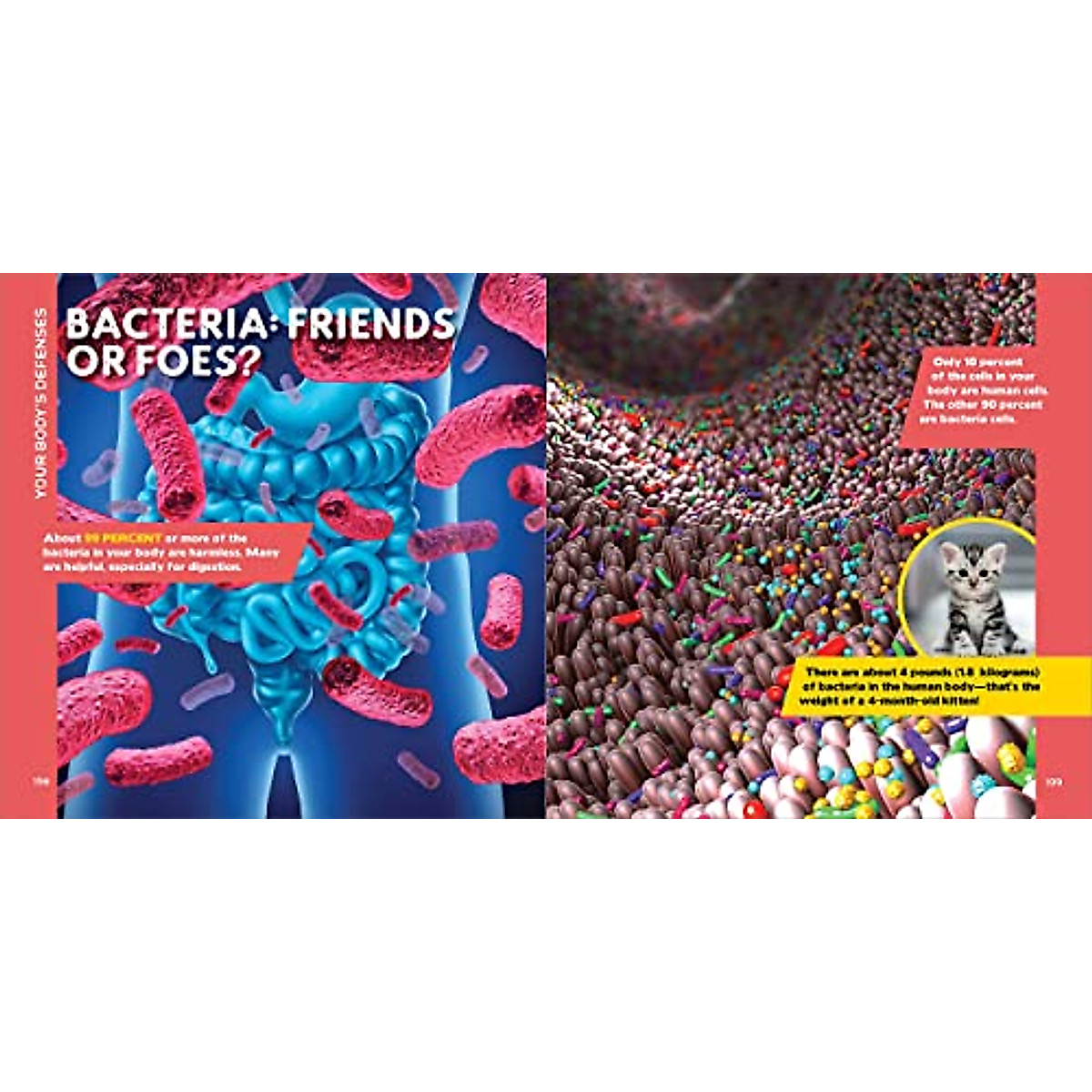 The Fascinating Human Body Book for Kids: 500 Phenomenal Facts! (Fascinating Facts)