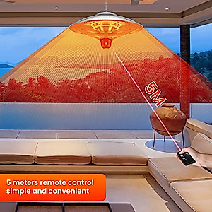 Danluke 500/1000/1500W Remote control electric heater outdoor,Ceiling-Mounted Heater, Electric Outdoor Heater,Ceiling Mounted Heater for Balcony,Hanging Outdoor Heater