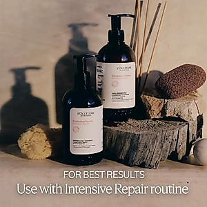L'OCCITANE Intensive Repair Shampoo 16.9 fl. oz.: Silicone-Free Shampoo, Help Revitalize Dry, Damaged, Color-Treated Hair, Vegan
