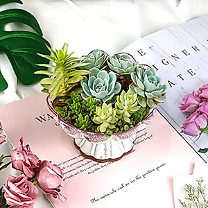 Summer Impressions 6 Inch Glazed Terracotta Succulent Planter with Drainage Hole Clear Plant Saucer Cactus Planter Pot Bonsai Pot Clay Pot Flower Pot (Lotus Red with Saucer)