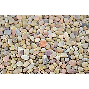 3 Lbs Large Salmon Bay Pebbles for Bonsai Tree Humidity Tray & Lucky Bamboo