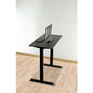 TechOrbits Electric Standing Desk Tabletop - 47 Inch Motorized Workstation Two Leg Frame Stand Up Desk with Memory Settings and Telescopic Sit-Stand Height Adjustment Black