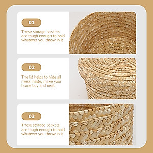 Cabilock 2pcs Straw Storage Basket Desktop Wicker Magazine Baskets Hampers for Laundry with Lid Seagrass Storage Baskets Snack Container Wheat Straw Decorative Basket to Weave