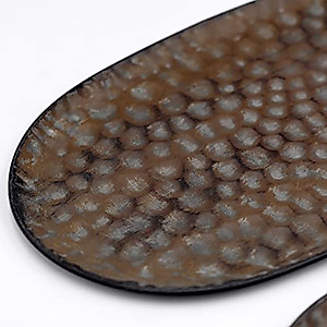 Funerom 13 x7.5 inch Galvanized Metal Tray Oval Tray Farmhouse Serving Tray