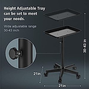 Salon Tray Cart, Premium Aluminum Rolling Trolley Cart with Wheels & Adjustable Height, W/Accessory Caddy Aluminum Mobile Utility Trolley Tool Holder