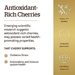 Solgar Tart Cherry 1000 mg, 90 Vegetable Capsules - Antioxidant with Quercetin, Chlorogenic Acid & Anthocyanins Compounds - Non GMO, Vegan, Gluten Free, Dairy Free - 90 Servings